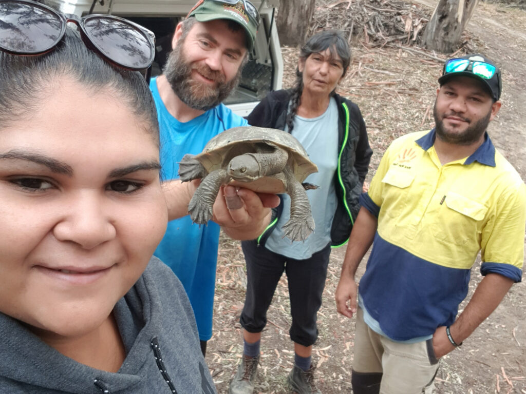 Tracking turtles in the Edward/Kolety River system - midmurrayflows.com.au